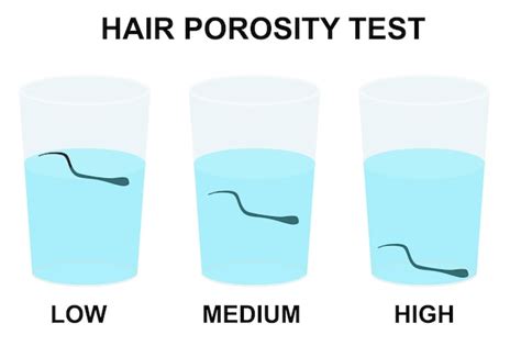 Premium Photo Natural Hair Porosity Float Test Infographics