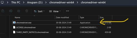 Java Selenium Chromedriverexe Does Not Exist Illegalstateexception