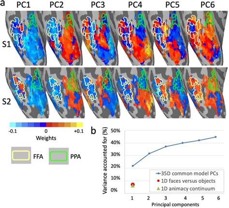 Figures And Data In Hyperalignment Modeling Shared Information Encoded