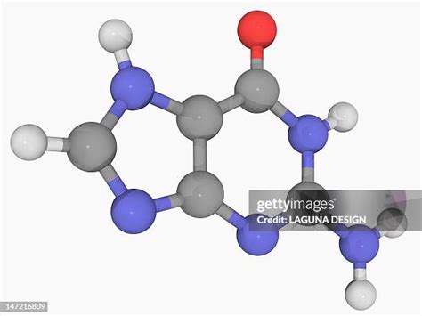 Guanine Structure Photos And Premium High Res Pictures Getty Images