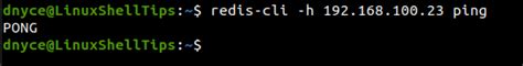 How To Install Redis On Ubuntu 20042204