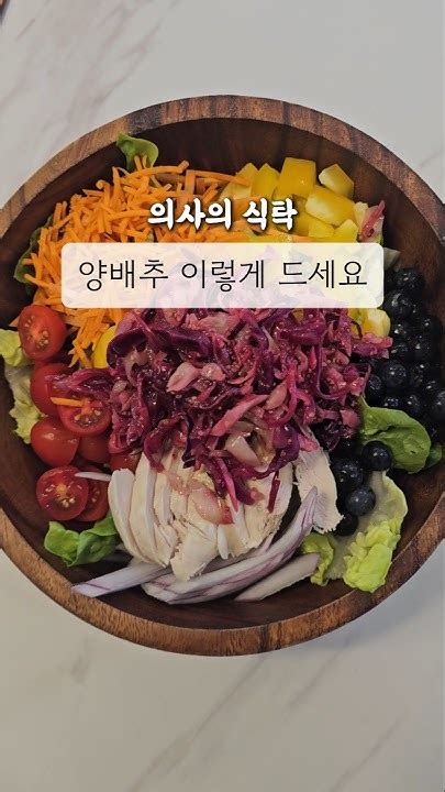 항암 항산화 양배추⁉️ 양배추는 이렇게 드세요 건강식단 의사의식탁 건강집밥 Youtube