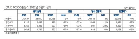 포스코홀딩스 실적 부진 주가 반영신성장 가치 부각 현대차