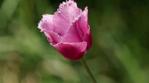 Boxtruckmassagevideos Videos Download The Best Free 4k Stock Video