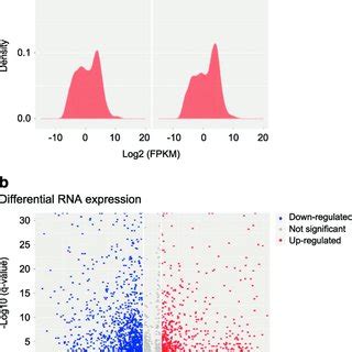 Differential Expression Of RNAs By RNA Seq A RNA Seq Expression Download Scientific Diagram