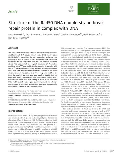 Pdf Structure Of The Rad50 Dna Double Strand Break Repair Protein In