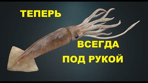 Кальмары в любое время года? - ПРОЩЕ ПРОСТОГО! - YouTube