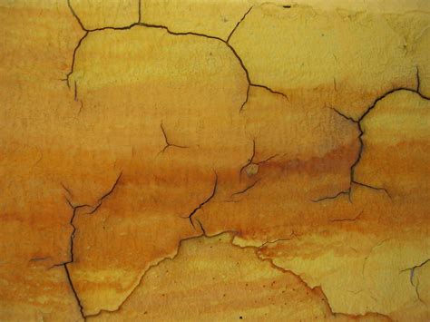 Yellow Rust 1 Free Photo Download FreeImages