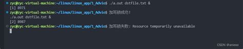 linux文件锁的使用 linux 文件锁 csdn博客