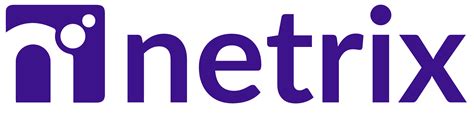 Etat Des Services Netrix