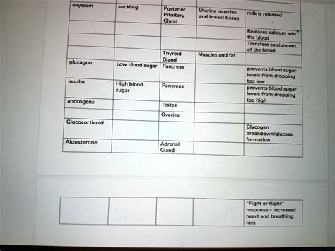 Solved Oxytocin Suckling Posterior Pituitary Gland Uterine Muscles Milk Is Released And Breast