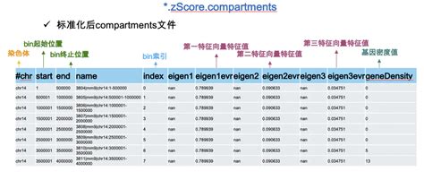 Hic数据分析 Hic数据分析 Ab Compartment分析软件 《三维基因组学学习笔记》 极客文档 Hic数据分析 Hic数据分析 Ab Compartment分析软件 《三维基因组学学习笔记》 极客文档