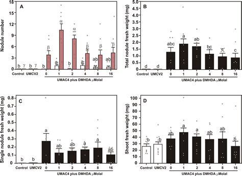 Arthrobacter Sp Umcv2 And Its Compound Nn Dimethylhexadecilamine Promote Nodulation In