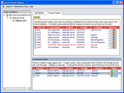 Using Oracle Coherenceweb 342 With Oracle Weblogic Server 10gr3