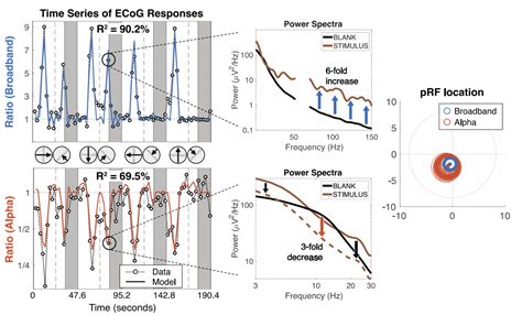 Precise Spatial Tuning Of Visually Driven Alpha Oscillations In Human Visual Cortex Vis Lab