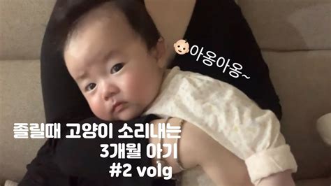 육아 브이로그 2 3개월아기분리수면통잠자는아기두번째 브이로그분유제조기육아템고양이소리 내는 아기 Youtube