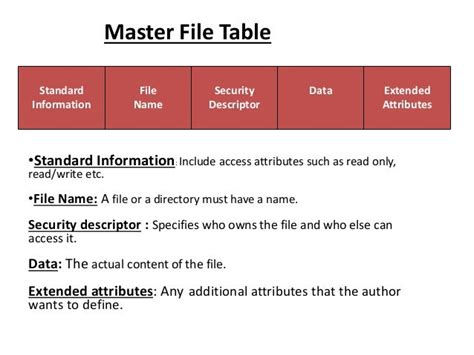 Windows File System