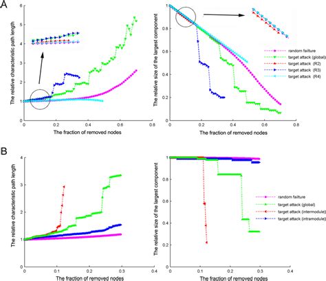 Topological Robustness Of The Human Brain Functional Network A Download Scientific Diagram