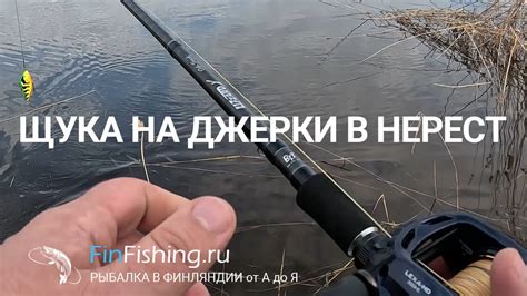 Ловля щуки на джеркбейты в нерест. Рыбалка в Финляндии - YouTube