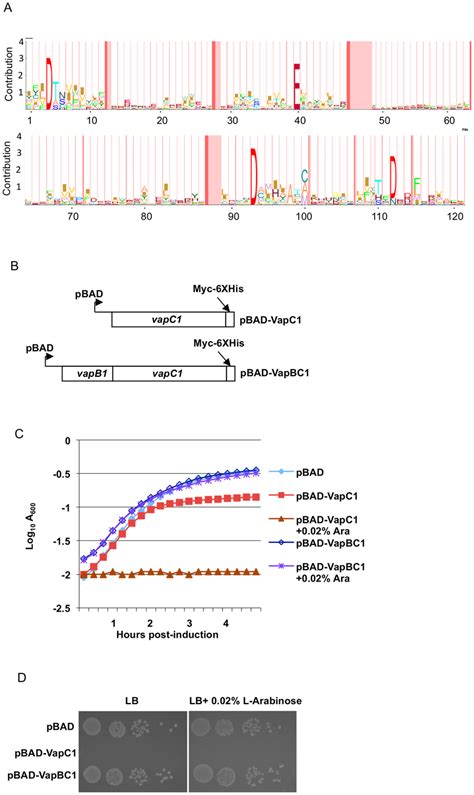 Characteristics Of Nthi Vapbc1 Toxin Antitoxin System In Vivo A Hmm Download Scientific
