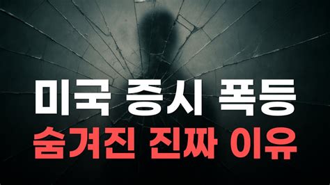 미국주식 미국 증시 폭등 숨겨진 진짜 이유 엔비디아 테슬라 아이온큐 브로드컴 애플 Youtube