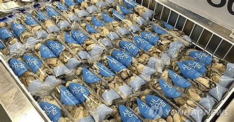 롯데마트 판매 굴서 노로바이러스 검출이미 3t 유통돼