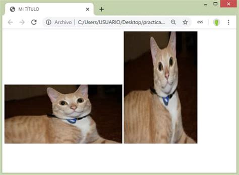 poner ancho y alto en css a los elementos desarrolladores web