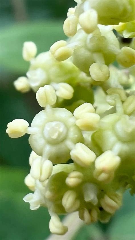 Pin Di Юлия Гладкая Su Ваши пины