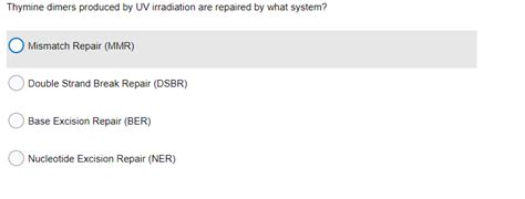 Solved Below Which Statement About Lipids Is Correct Lipids Chegg