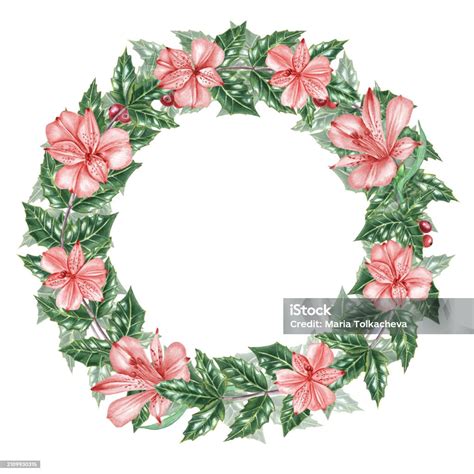 녹색 Ilex 잎 빨간 열매 및 꽃의 화환 호랑가시나무 잎 상록 관목 백합 꽃 겨울 자연 장식 흰색에 고립된 수채화 그림입니다 크리스마스 디자인 텍스트 공간 복사 0명에