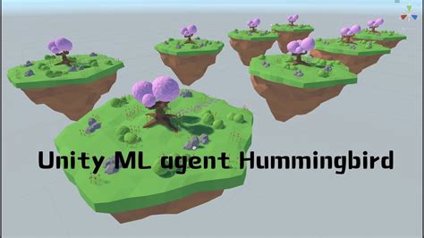 Unity ML Agent HummingBird training - YouTube
