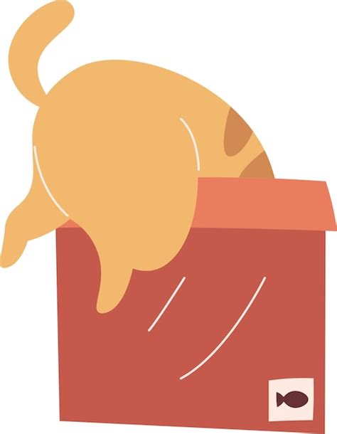 Premium Vector Cat In Box