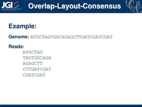 Ppt De Novo Genome Assembly Powerpoint Presentation Free Download Id5599439