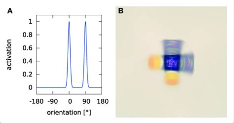An Example Of A Weighted Superposition Panel A Shows An Example