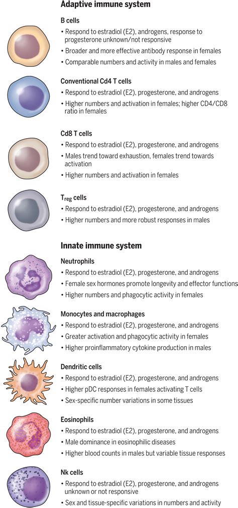 Sex Differences In Tissue Specific Immunity And Immunology Science Sex Differences In Tissue Specific Immunity And Immunology Science