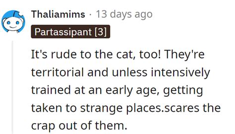 Year Old Calls Roommate Idiot For Linking Cat Dislike To Consent Issues Triggers Emotional