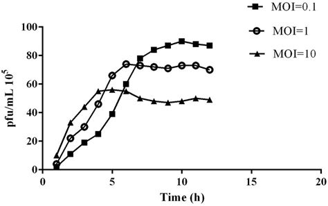 Corresponding Abundances Of Pfu Ml Were Quantified By Plaque Assay Over Download Scientific