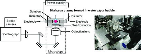 Color Online Experimental Setup For Microscopic Spectroscopy For Download Scientific Diagram