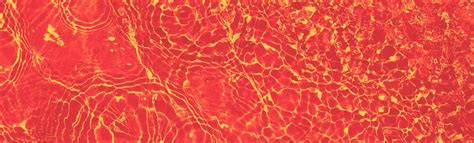 Program Support Mozilla Foundation