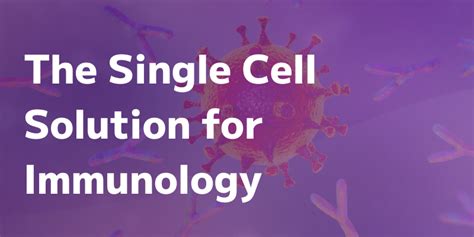 The Single Cell Solution Immunology Has Been Waiting For Parse Biosciences