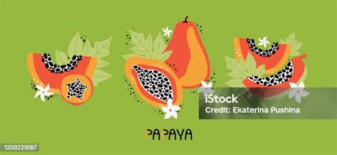 잎과 꽃 오렌지 파파야를 설정합니다 살 씨앗과 열대 과일의 전체 와 슬라이스 과일을 수집 손 식이 채식주의 음식 유기농 낙서