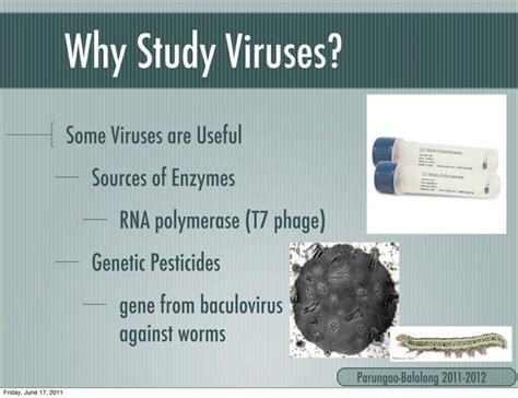 virology lecture 1 introduction ppt