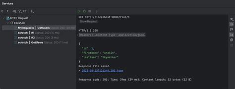 Client Intellij Idea Documentation