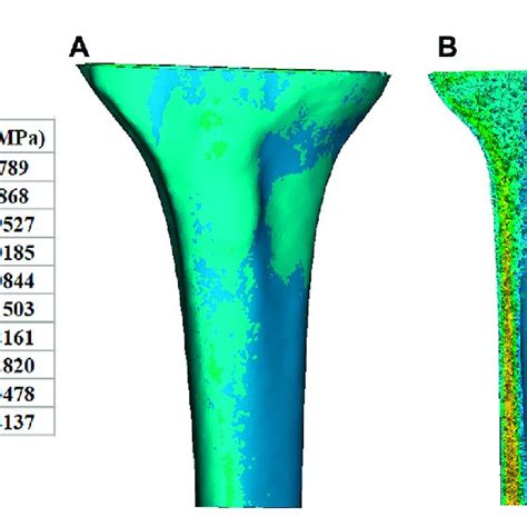 Material Properties Of The Inhomogeneous Tibia A External Material