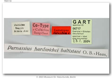 Parnassius Hardwickii Type Specimens Page 2
