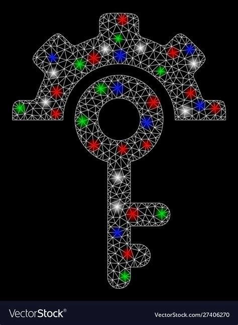 Bright Mesh Carcass Key Options With Flare Spots Vector Image