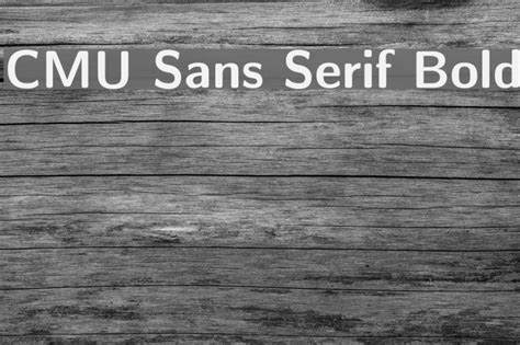 CMU Sans Serif Bold Font FFonts Net