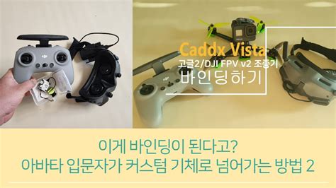 Dji 아바타 입문자가 커스텀 기체로 Caddx Vista로 좀 더 싸게 넘어가는 방법 Youtube