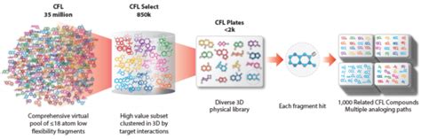 Designing A 3d Fragment Library For Targeted Molecular Interactions