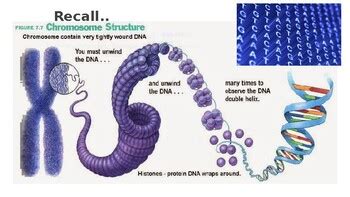 Netflix Explained Designer DNA Episode Lesson And Assignment By Andrea Ro